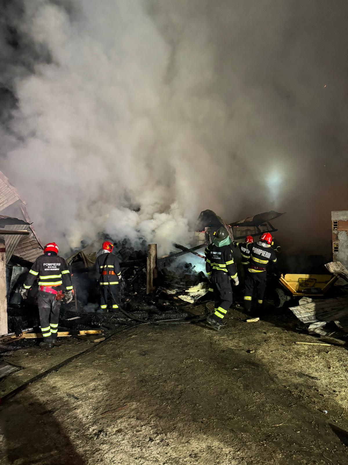 FOTO O vacă, un porc și 60 de păsări au pierit într-un incendiu ...